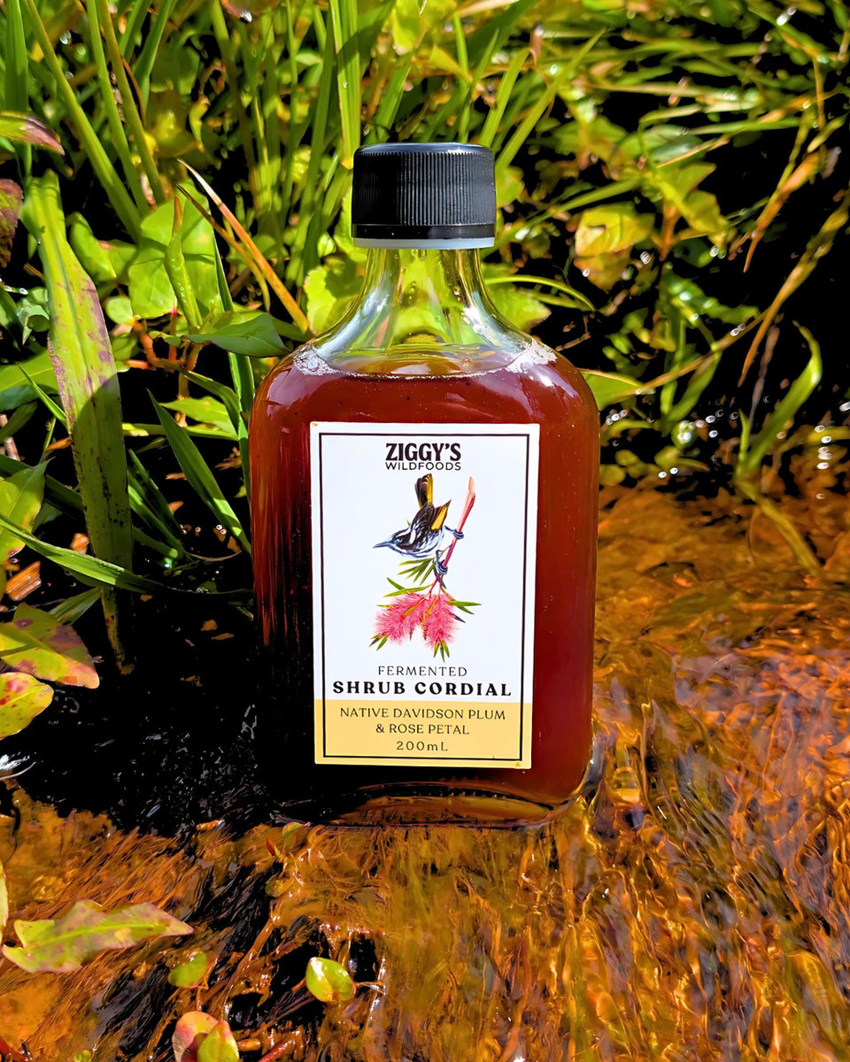 Ziggy's Wildfoods Shrub Cordial Native Davidson Plum & Rose Petal 200m ...