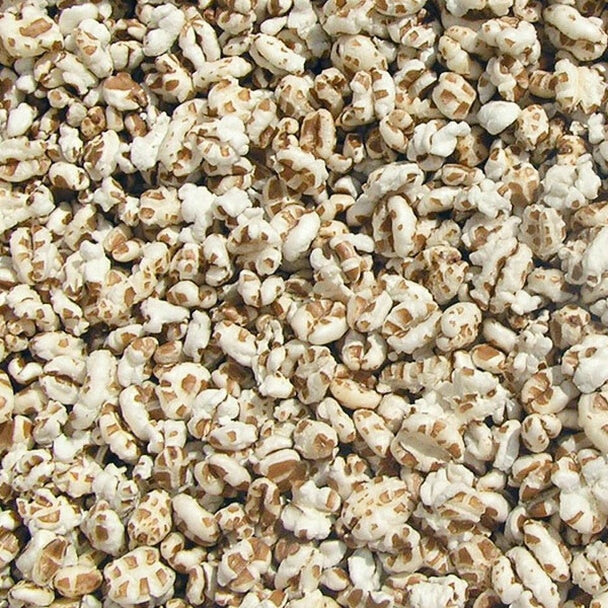 Organic Spelt Puffs 200g – La Vida Vegan