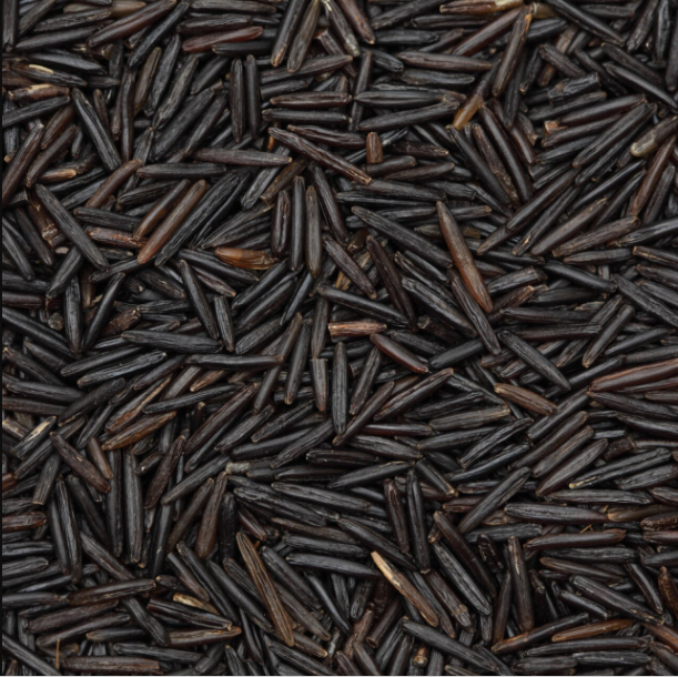 Organic Wild Rice 1kg – La Vida Vegan